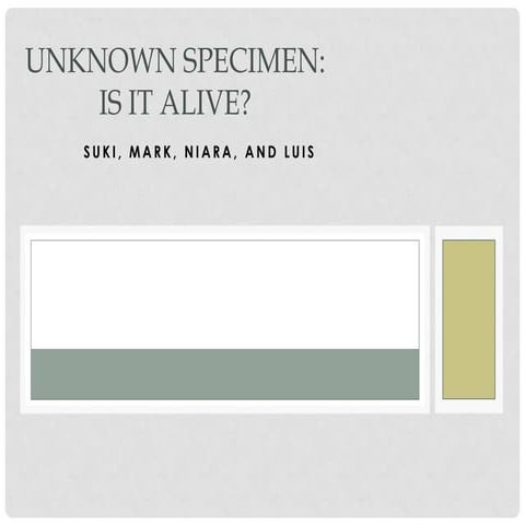 Unknown specimen powerpoint | PPTX