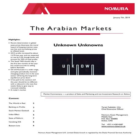The Arabian Markets: Unknown Unknowns | PDF