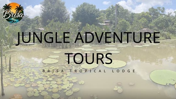 Curso de ingles english lesson phrasal verb list (lección de inglés ...