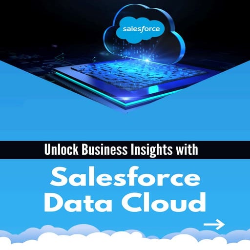 Unlock Business Insights With Salesforce Data Cloud Pdf
