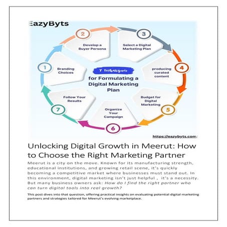 Unlocking Digital Growth in Meerut -pdf.pdf