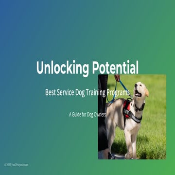Unlocking Service Dog Potential Understanding Training Costs. | PDF