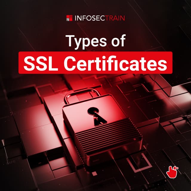 Unlock the Power of SSL Certificates - Which One is Right for You.pdf