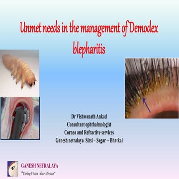 What Is Demodex And Blepharitis Lash Resource Eyelash Mites: Symptoms
