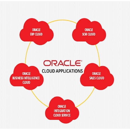 Oracle Cloud Consulting | PDF