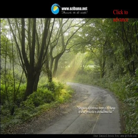 Un nou inceput | PPT