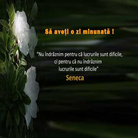 Un nou inceput | PPT