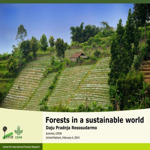 Forests in a Sustainable World | PPTX