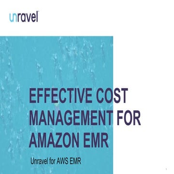Effective Cost Management for Amazon EMR | PDF