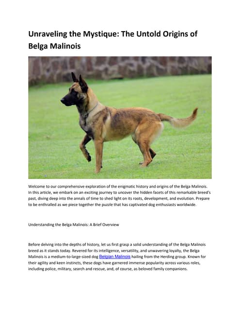 Measuring IPTV QOS.pdf | Computer Networking | Computing