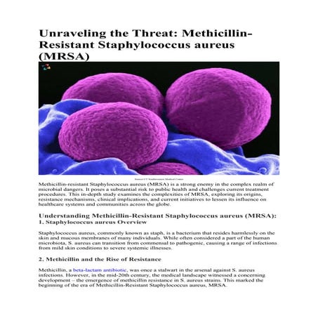 Methicillin Resistant Staphylococcus Aureus Mrsa Overview Antibiotics Impact And Spread The