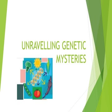 UNRAVELLING GENETIC MYSTERIES - MENDEL EXPERIMENTS.pptx