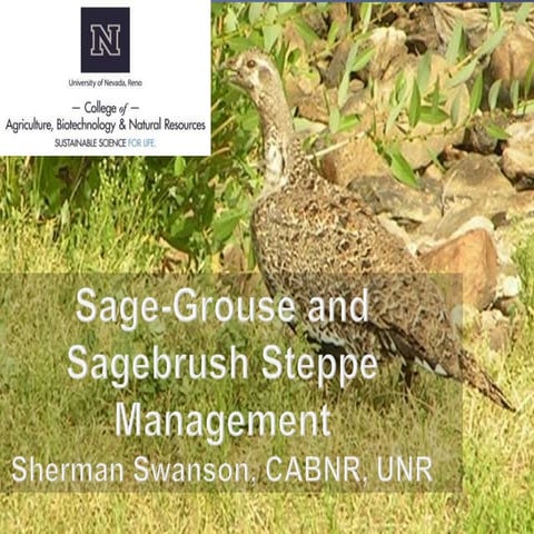 Sage-Grouse and Sagebrush Steppe Management | PPTX