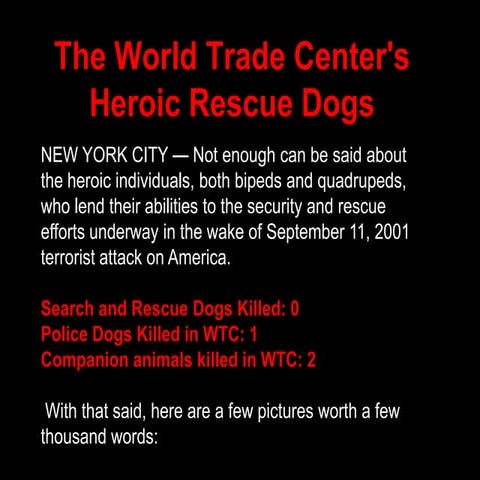 Unsung Heroes of 911 | PPTX