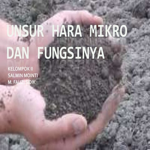 Unsur hara mikro dan fungsinya | PPTX