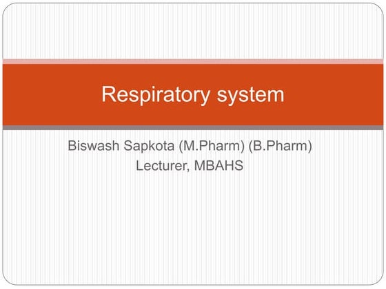 Respiratory System GRADE 6.pptx | Lung and Respiratory Health ...