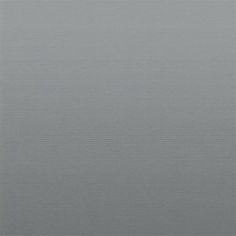 Shark Attack Information | PPTX