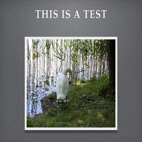This is a test | PDF