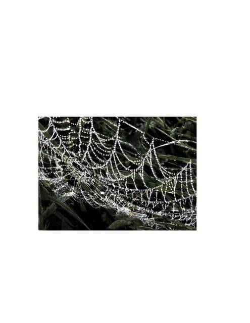 Working task 005 | PDF