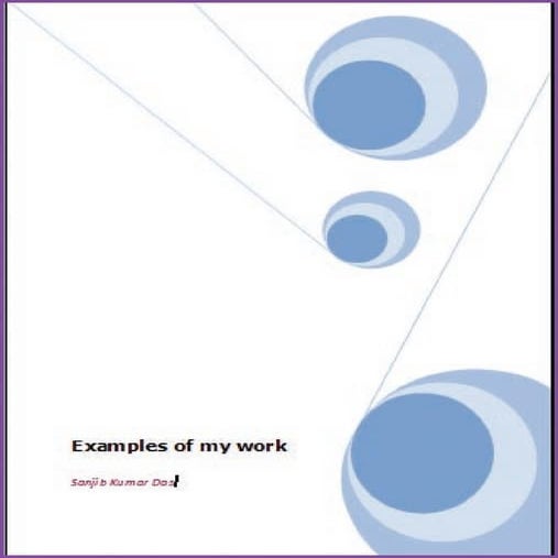 Examples of My Work | PDF