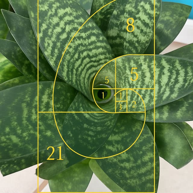Math in natural areas around my life. Four pics | PDF