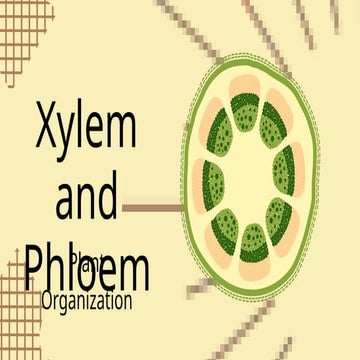 parts of a plant 2: stem parts and functions | PPTX