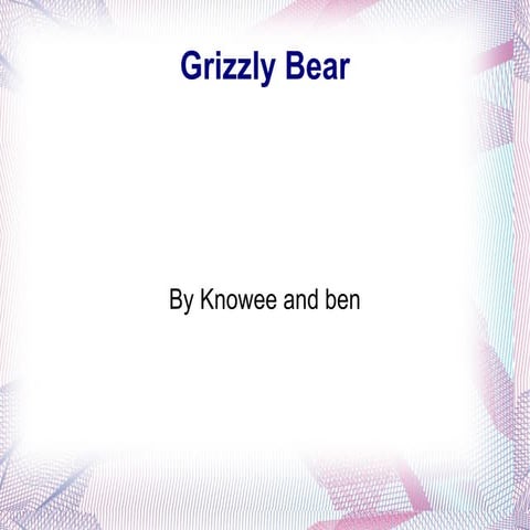 Brown Bear | PPT