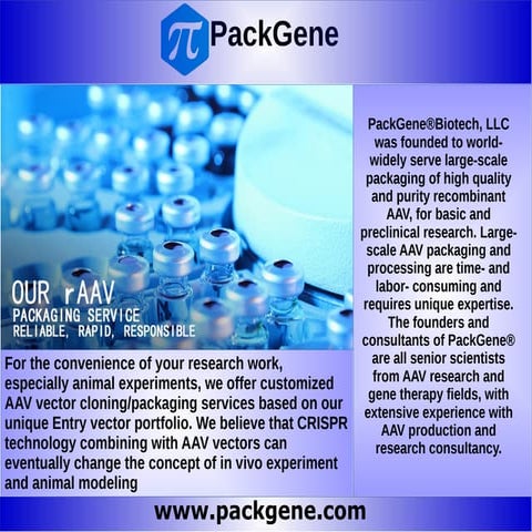 RAAV packaging | PPT
