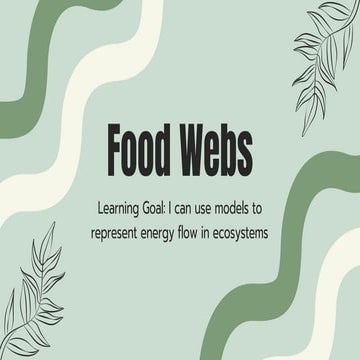 Food web presentation | PPTX