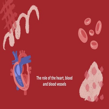The Circulatory System-The role of the heart, blood and blood vessels .pptx