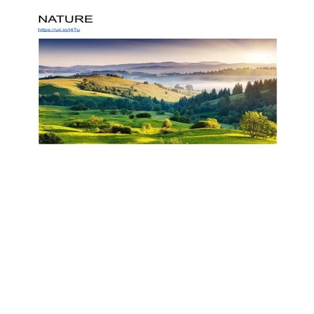 NATURE | PDF