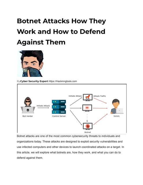 unit cyber security BOTNETS Documents.pptx