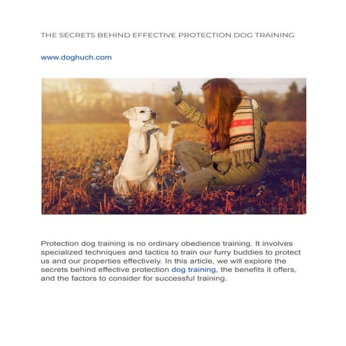 THE SECRETS BEHIND EFFECTIVE PROTECTION DOG TRAINING | PDF