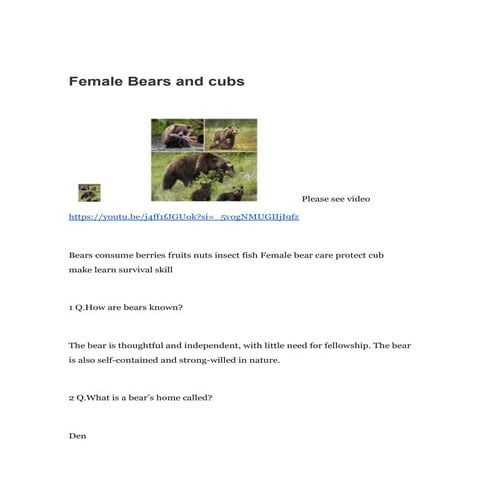 Black Bears | PPTX