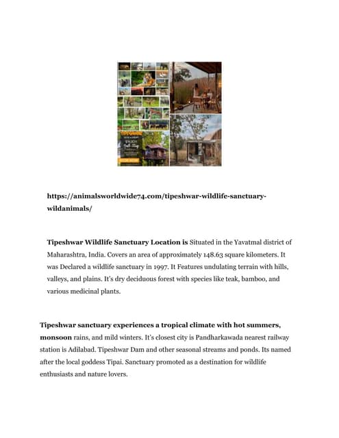 Chandraprabha vana jeevan abhiyana sanctuary | DOCX | Hinduism ...