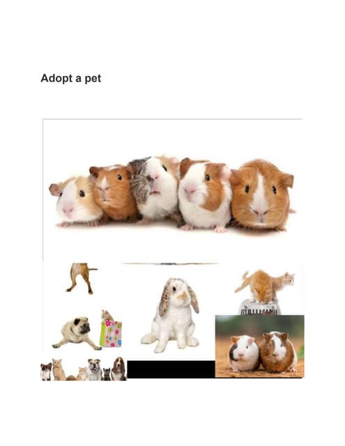 What is a pet | PPTX