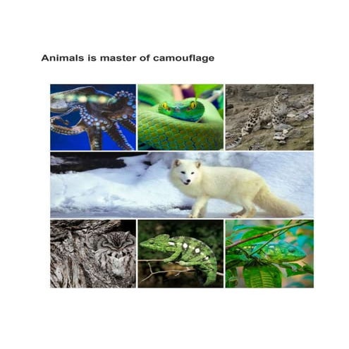Animals is master of camouflage ability to blend | DOCX