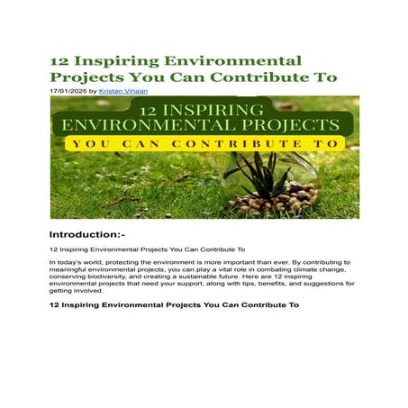 12 Inspiring Environmental Projects You Can Contribute To | PDF
