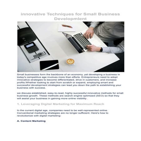 innovative Techniques for Small Business DevelopmIent | PDF