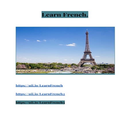 Learn French.pdf