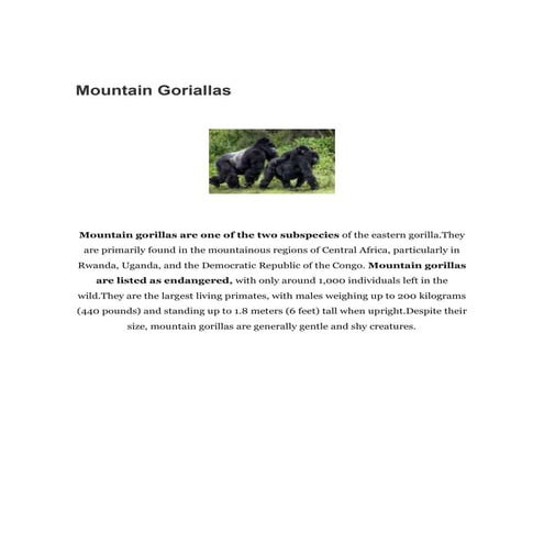 Mountain gorillas are one of the two subspecies of the eastern gorilla. | PDF
