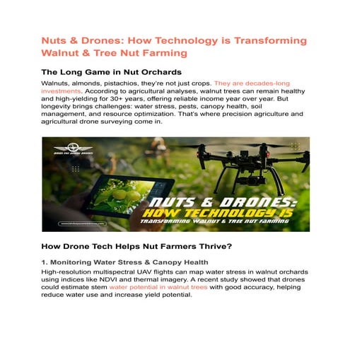 Nuts & Drones: How Technology is Transforming Walnut & Tree Nut Farming ...