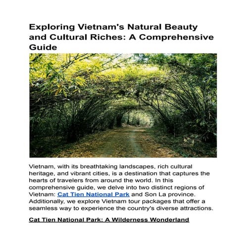 Vietnamese heritage | PDF