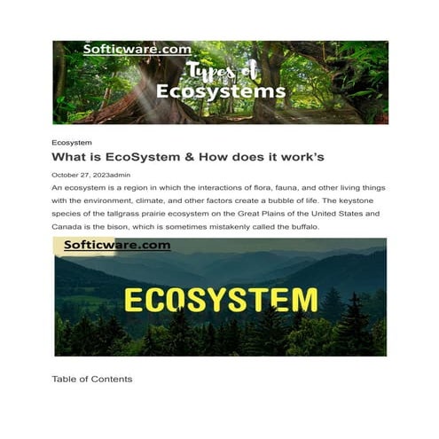 What is EcoSystem & How does it work’s | PDF | Geography | Science