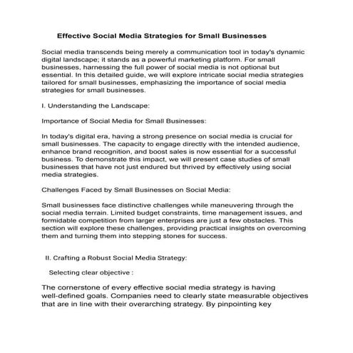 Social Media Strategies for Small Businesses | PDF