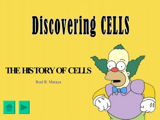 Cell Theory | PPTX | Biological Sciences | Science
