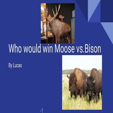 Moose vs. Bison | PPT