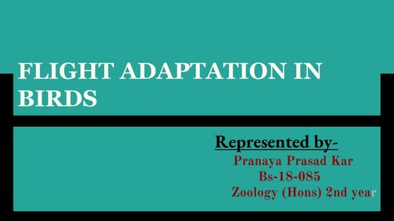 Flight adaptations in birds | PPT
