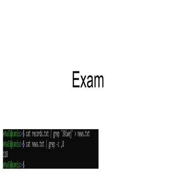 exam cs105 | PDF