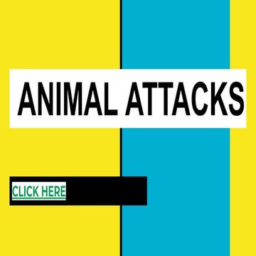 animal attacks | PDF